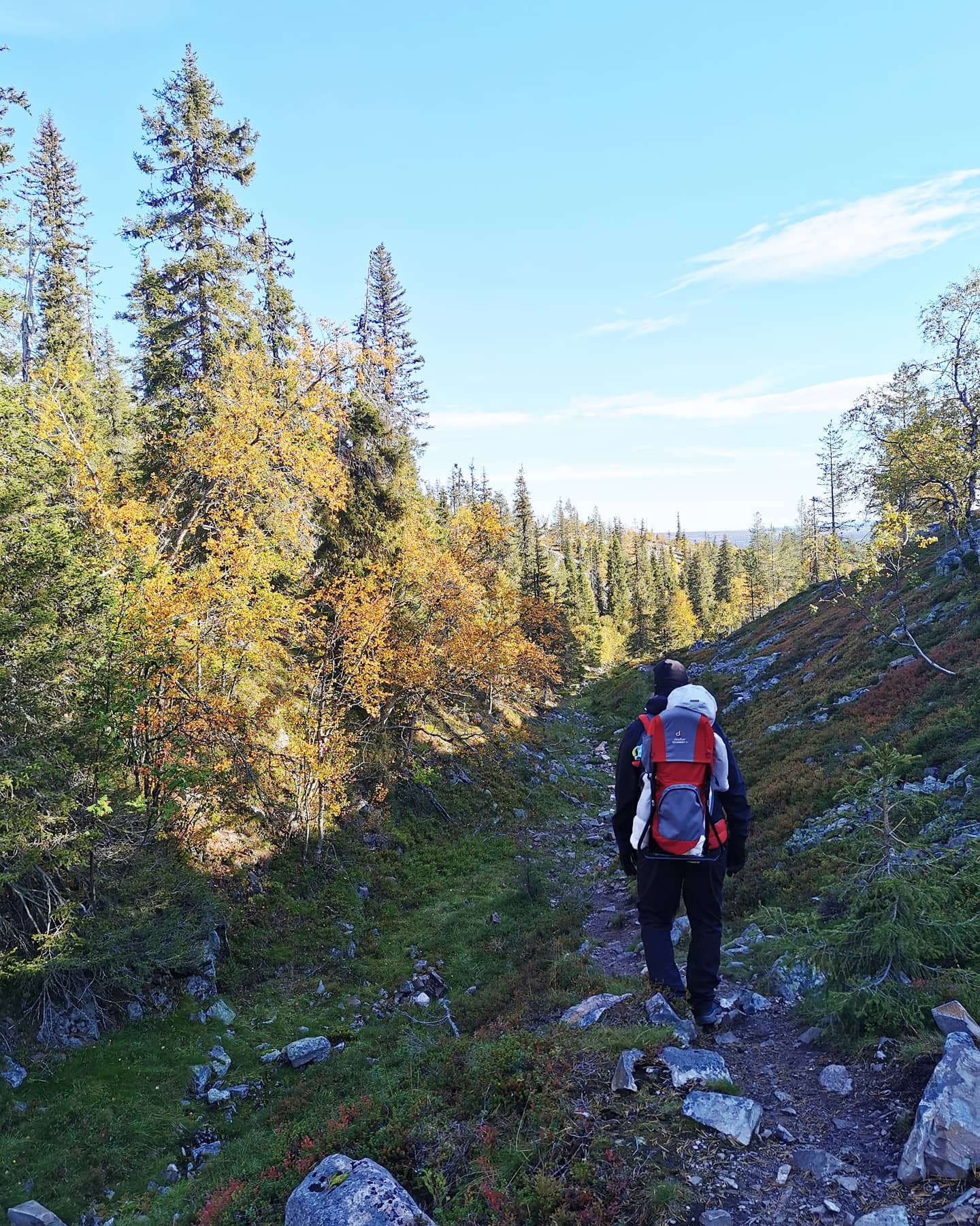 Travelisa: Ruskaretkeilyä Ylläksellä: Pakasaivo ja Tuomikuru