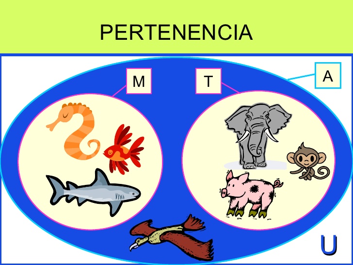 Didácticas de las Matemáticas en Educación Infantil: octubre 2015