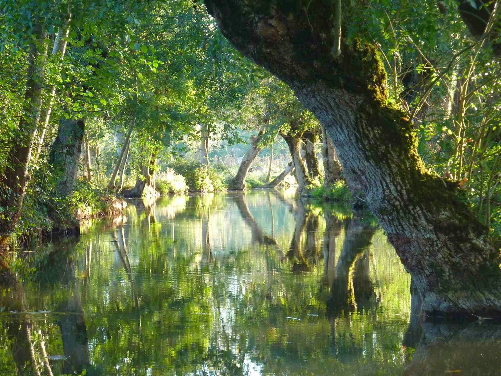 porte-cierge: Agathe