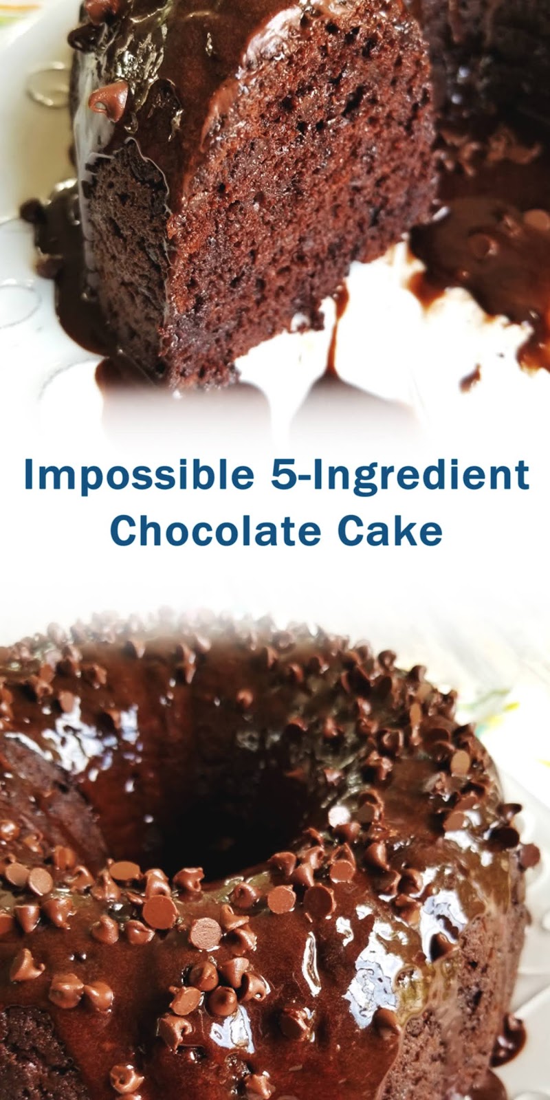 Impossible 5 Ingredient Chocolate Cake impossible-5-ingredient-chocolate-cake