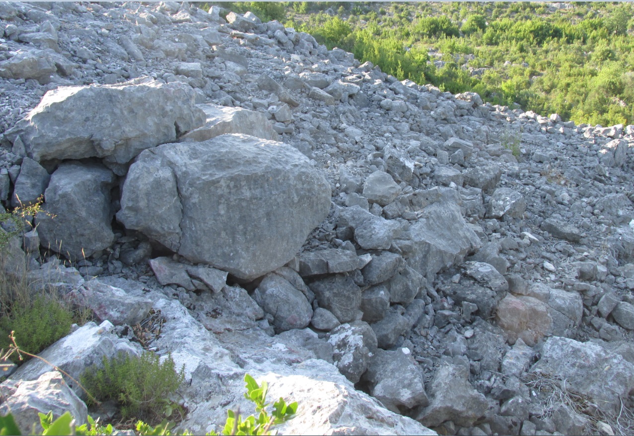 HERCEGOVINA-GEOARHEO: KOD NEUMA OTKRIVENA NOVA HERCEGOVAČKA 'MIKENA ...