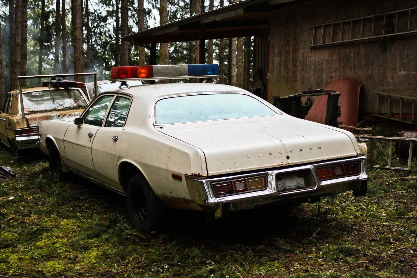 Oregon State Police Fury