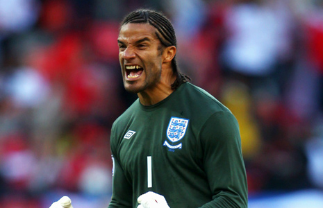 world of sport: David James Profile, Pictures And Wallpapers
