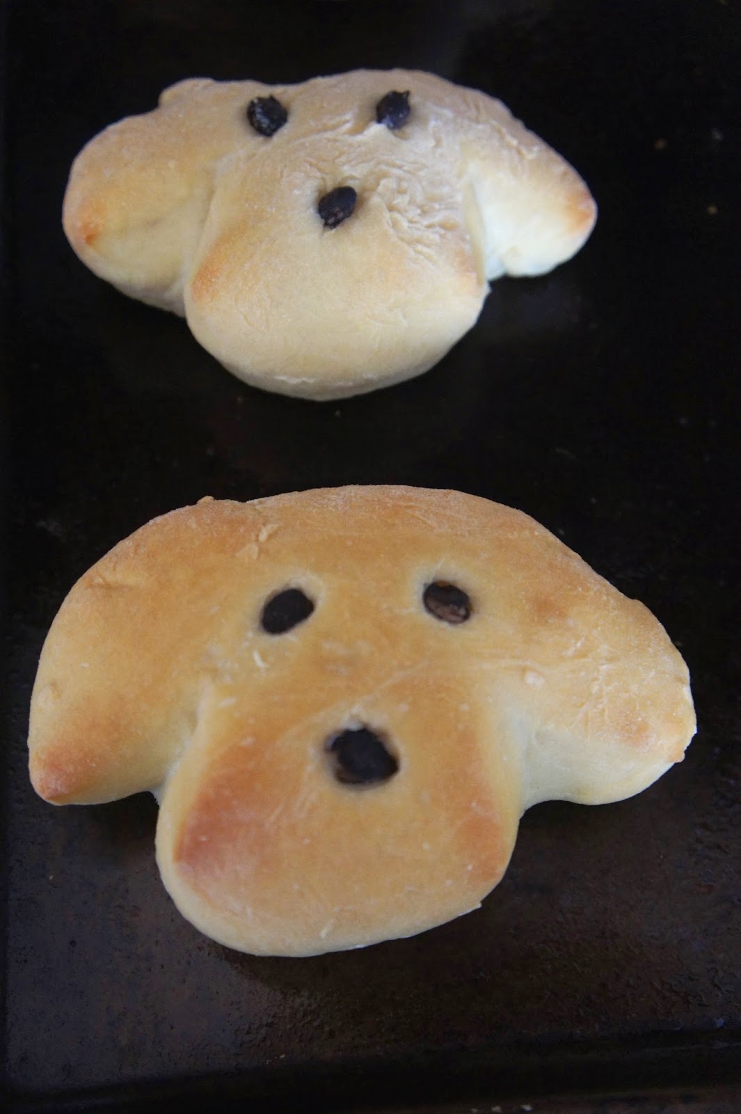 Savory Sweet and Satisfying: Puppy Bun