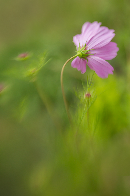 Kathleen Clemons Photography: September 2014