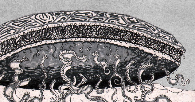 Cryptids State-by-State: Giant Space Clams- Nevada