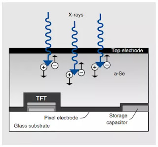 direct detection digital radiography system - paramedical guru