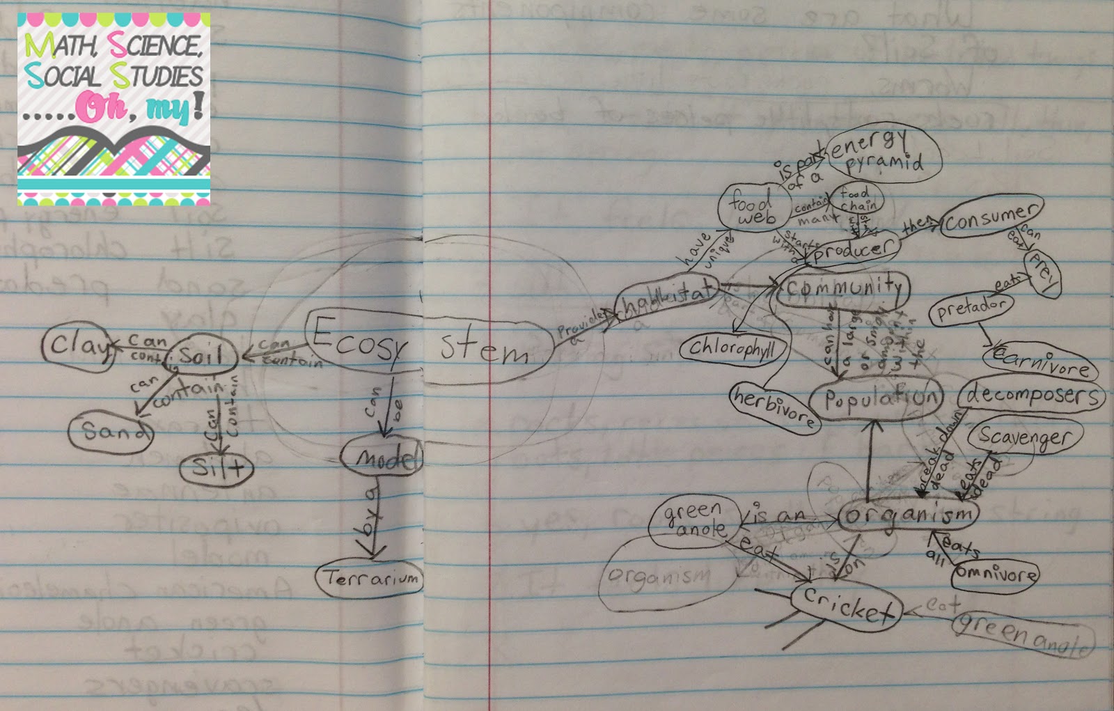 Concept Mapping | Technically Speaking with Amy