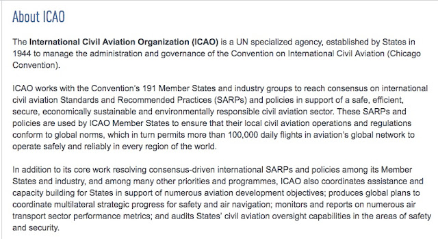 Ulrica Pen in Aviation: Aviation Regulation - ICAO, IATA, and CAAs