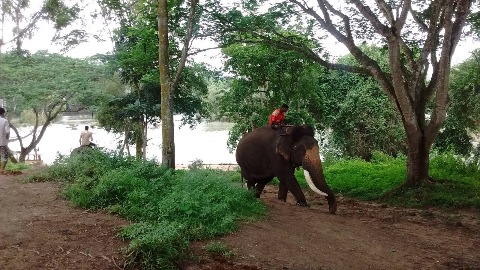 Dubare Elephant Camp: Nestled Along the Sacred Cauvery River in Coorg ...