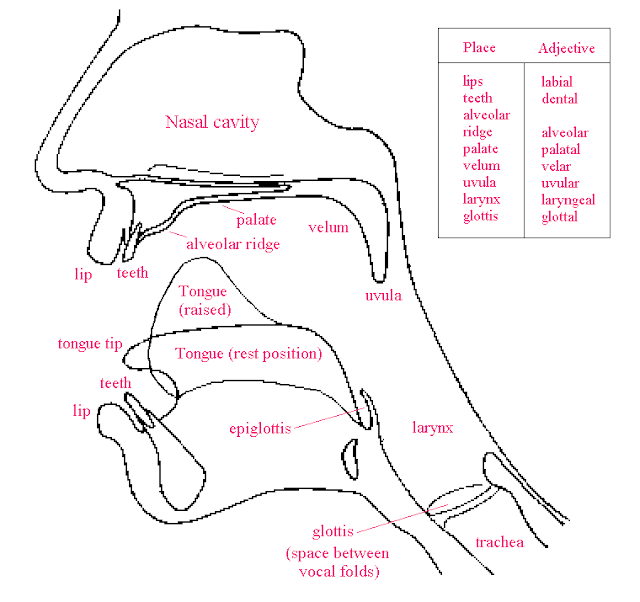 IPA Chart ~ Taj Archive