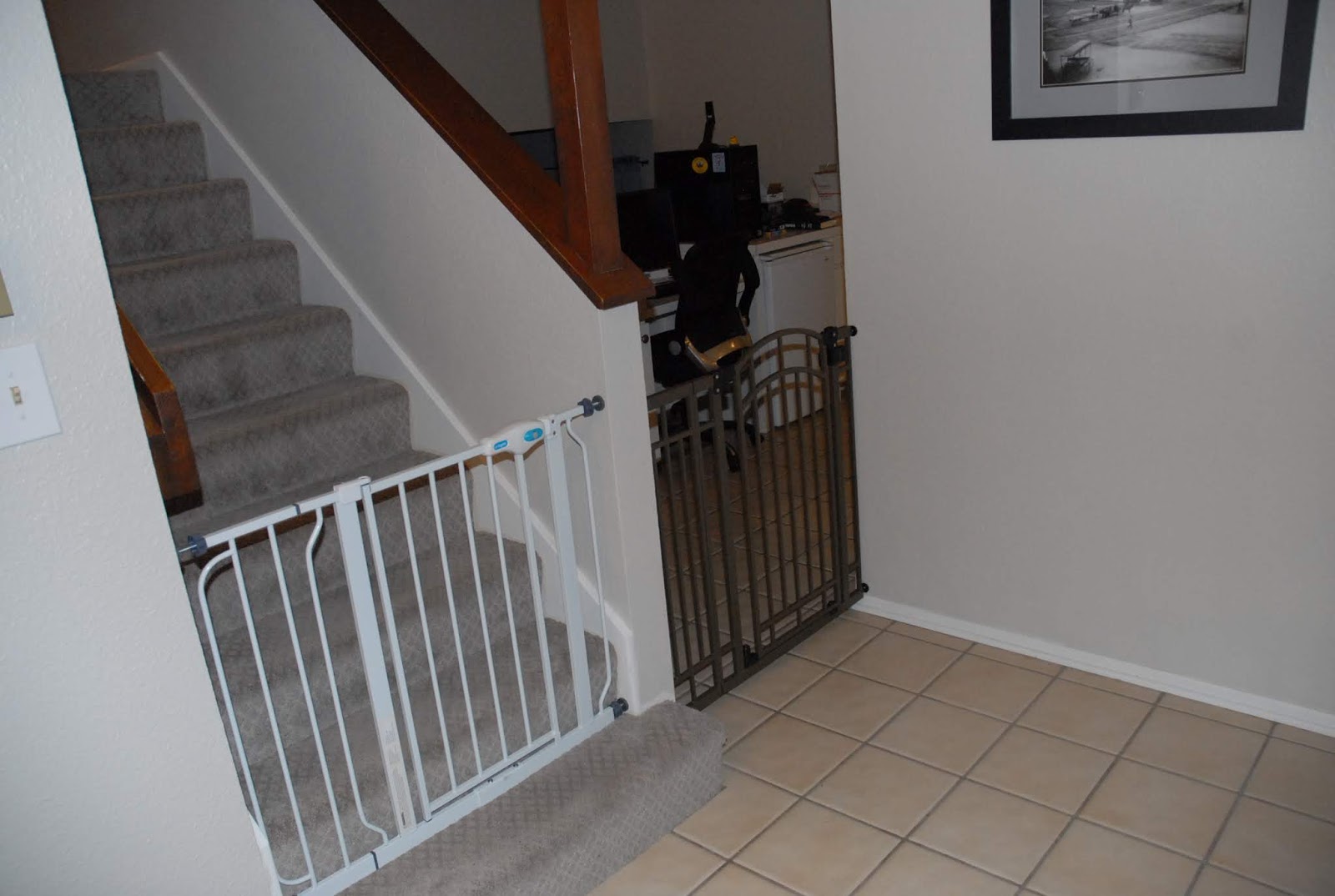 Every Blade of Grass: Set Material Condition YOKE!