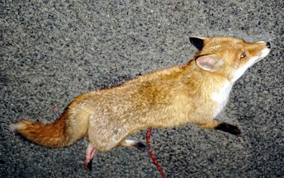 Another Bird Blog: Pick N’ Mix