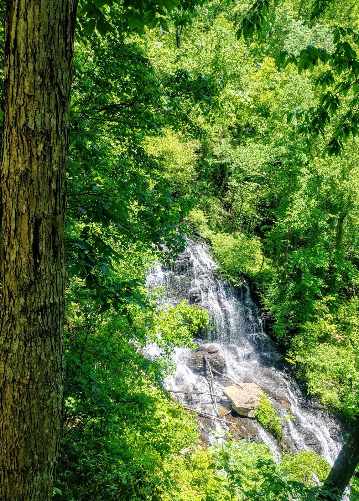 Another Mile Another Destination Blog: Issaqueena Falls, Walhalla ...