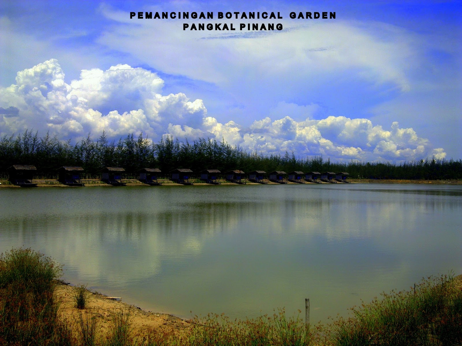 DIDI TRANS TOUR TRAVEL BANGKA BELITUNG