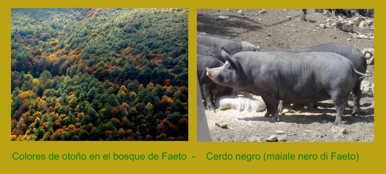 CENTRO PUGLIESE DE BAHIA BLANCA Y REGION: FAETO "repubblica del prosciutto"