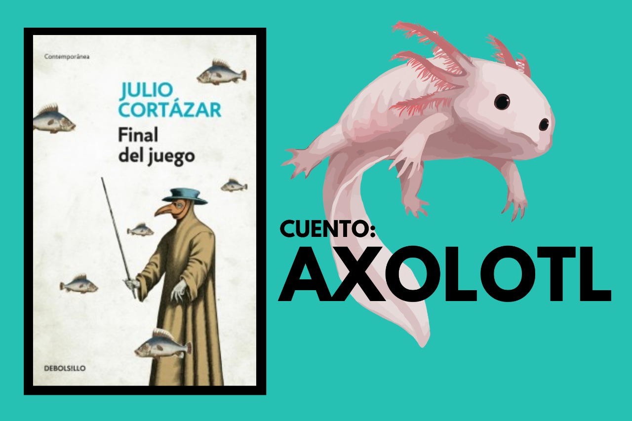 Dios Axolotl: Mi amigo misterioso