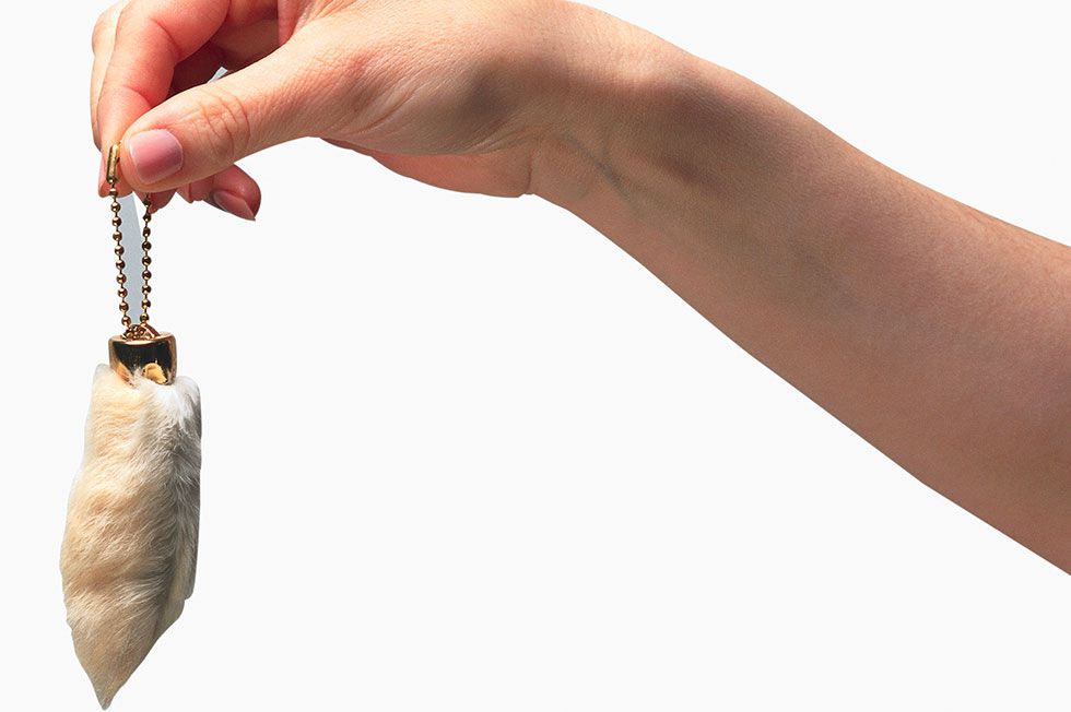 Famous Superstitions - 13 Most Popular Superstitions, Reason To Believe ...