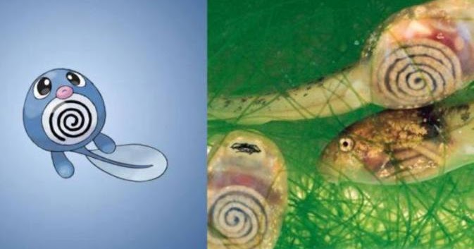 MENGGEMASKAN ... Pokemon di Dunia Nyata, Wujudnya Seperti Apa ...