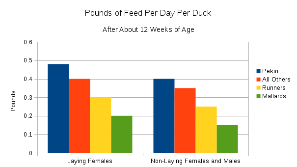 Metzer Farms Duck and Goose Blog