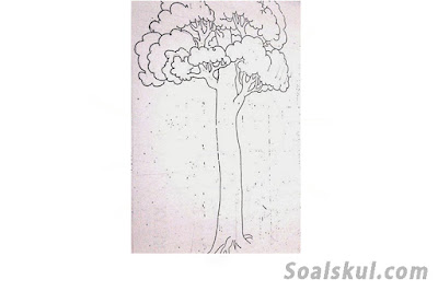 Contoh Tes Menggambar Pohon dalam Psikotes - Soalskul