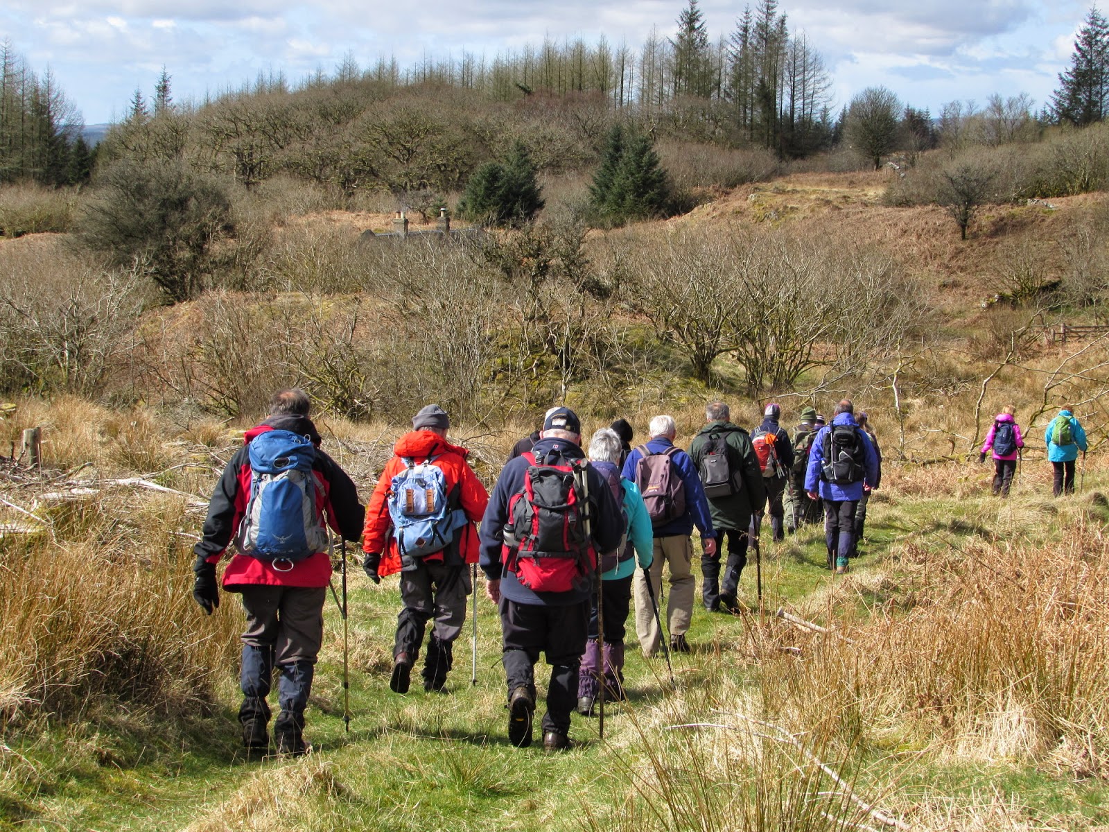 The Glebe Blog: Wigtownshire Ramblers Two Walks - Wood of Cree to Loch ...