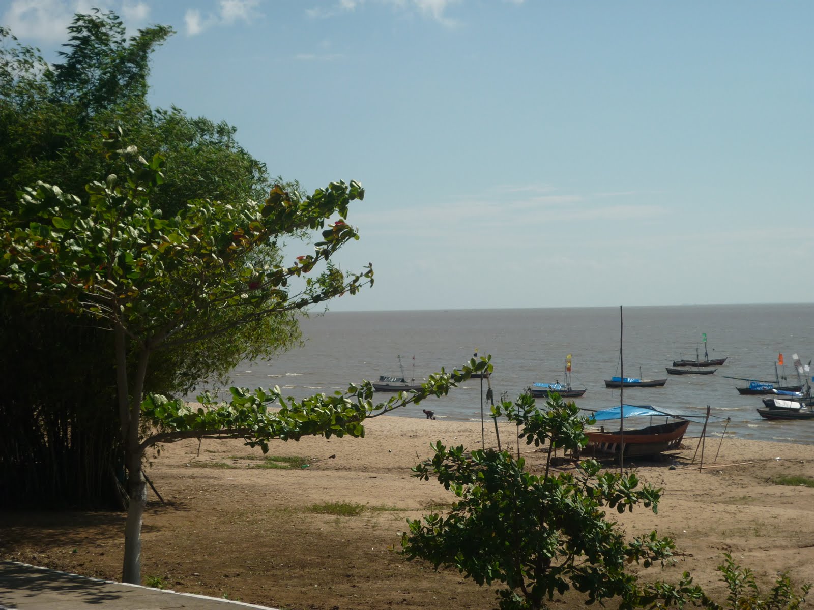 Essas e Outras Histórias...: VOCÊ CONHECE COLARES?