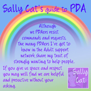 Sally Cat PDA