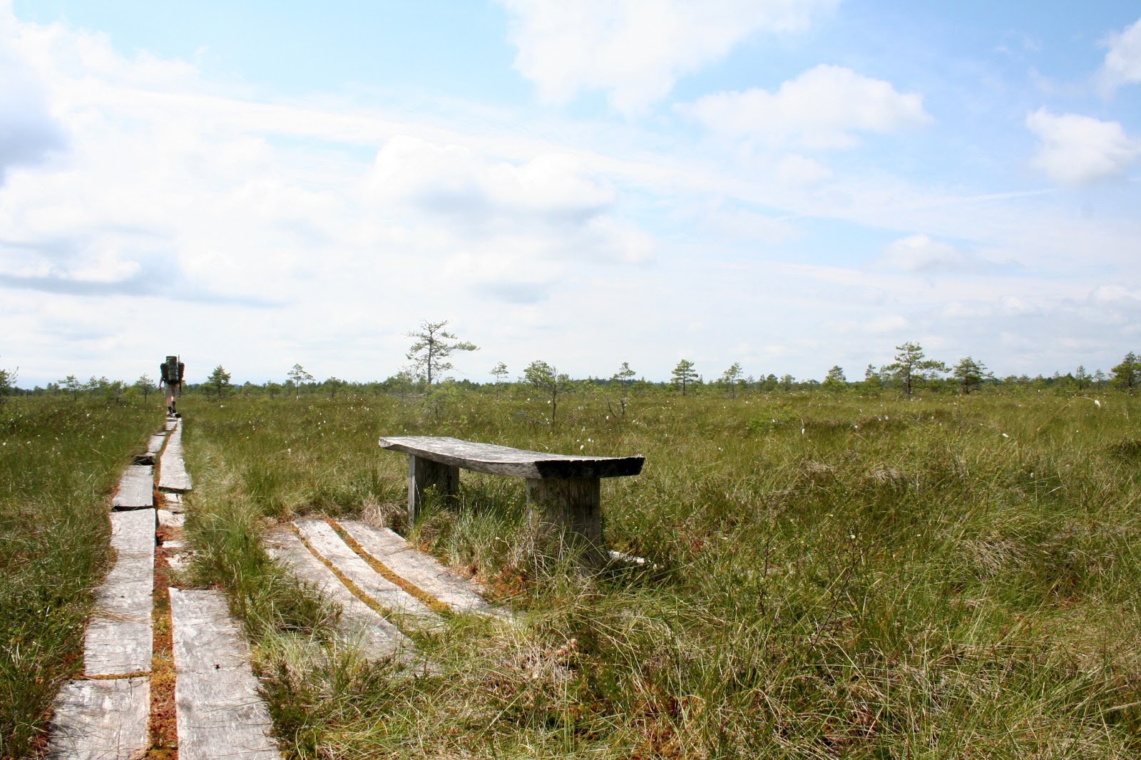 RMK matkateedel: 2013