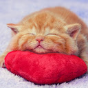 Palabras desde el umbral