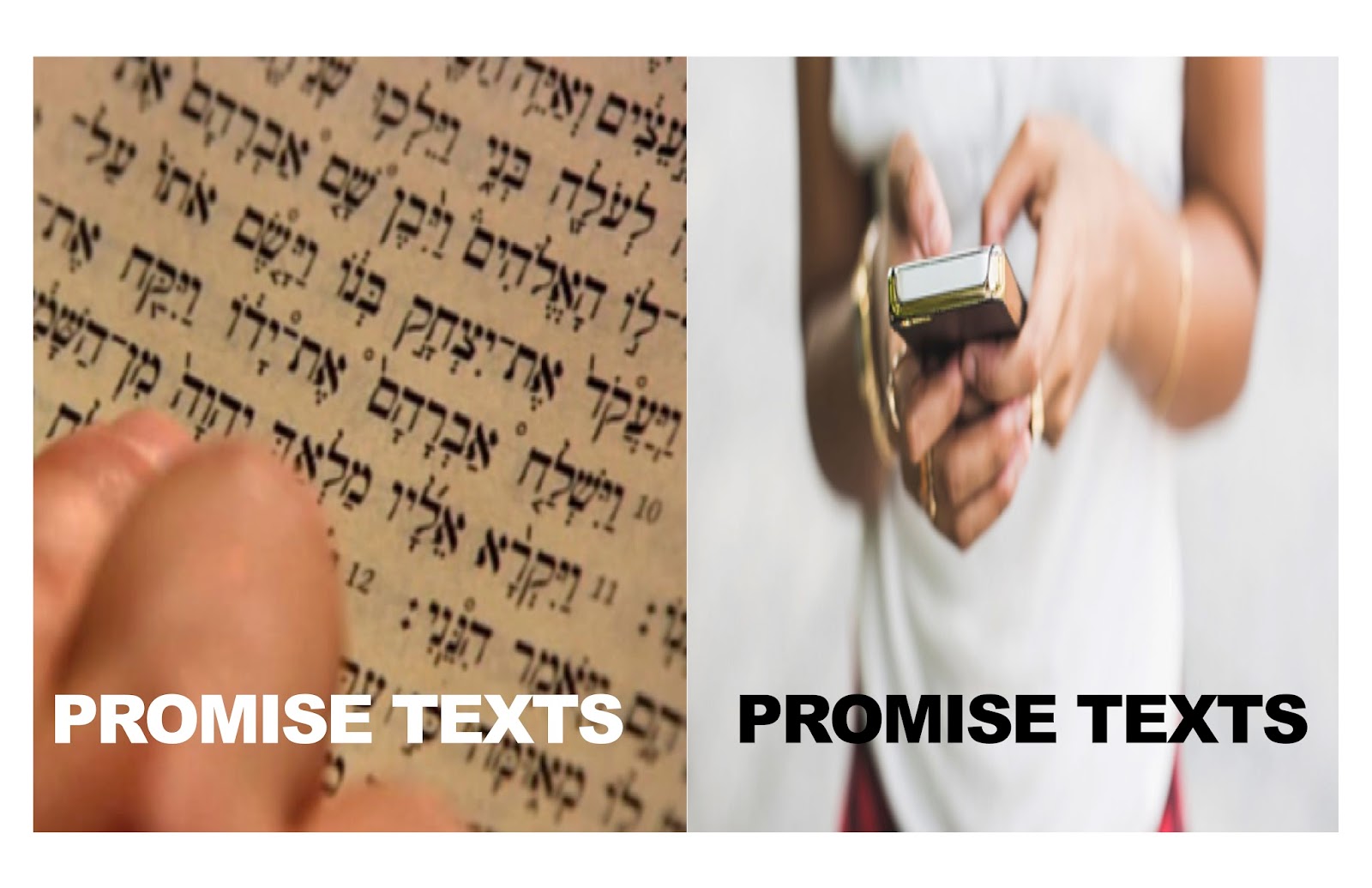 The Demise of Word – HOLLOWAY QUARTERLY