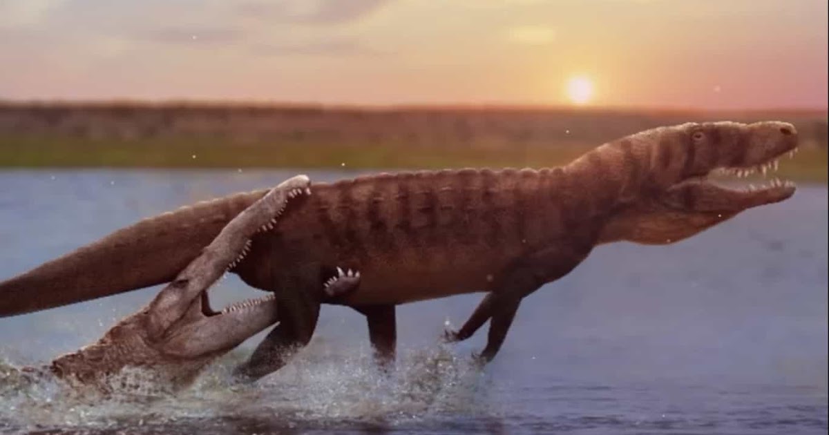 9 Ciri-Ciri Zaman Trias (Triasik) - Zona Penemuan