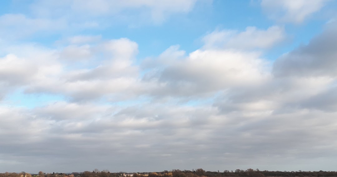 @birdingdad: Wheldrake Ings: World-class Wetland!