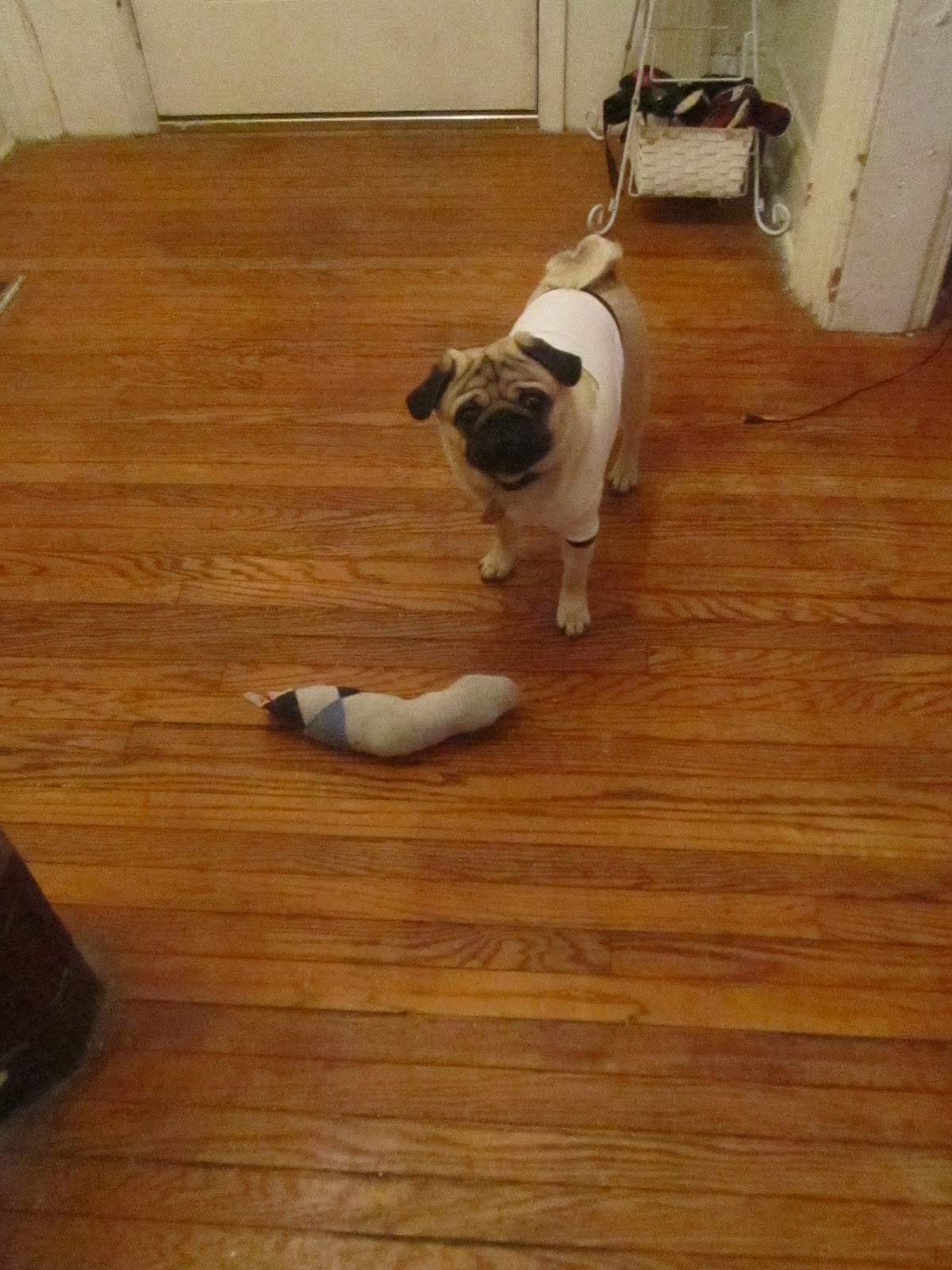 Urban Hounds: DIY-Two Minute Toy