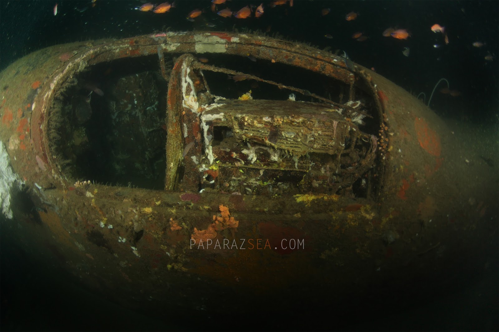 52 years later, Skyraider plane wreck is a delight to dive... its in ...