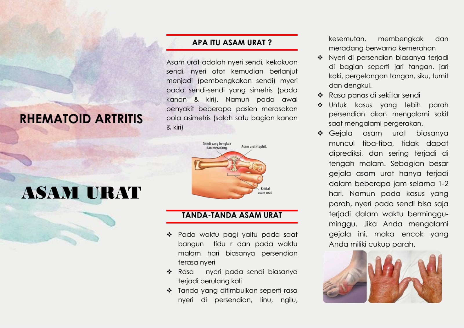 LEAFLET ASAM URAT