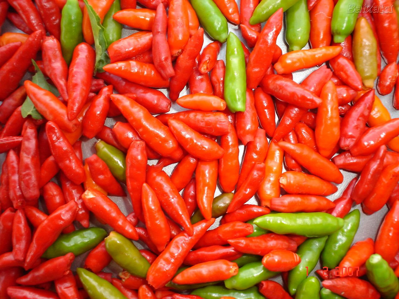 PIMENTINHA BRASILEIRA: PIMENTAS