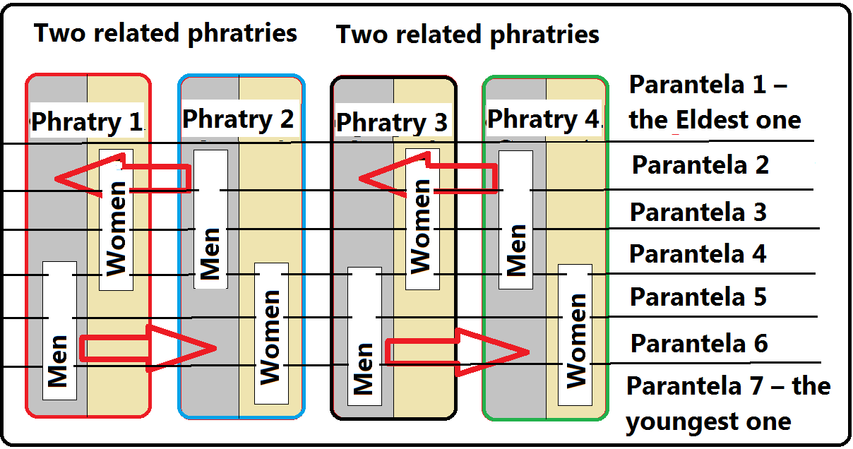 Step by step: Parantelas and Phratries
