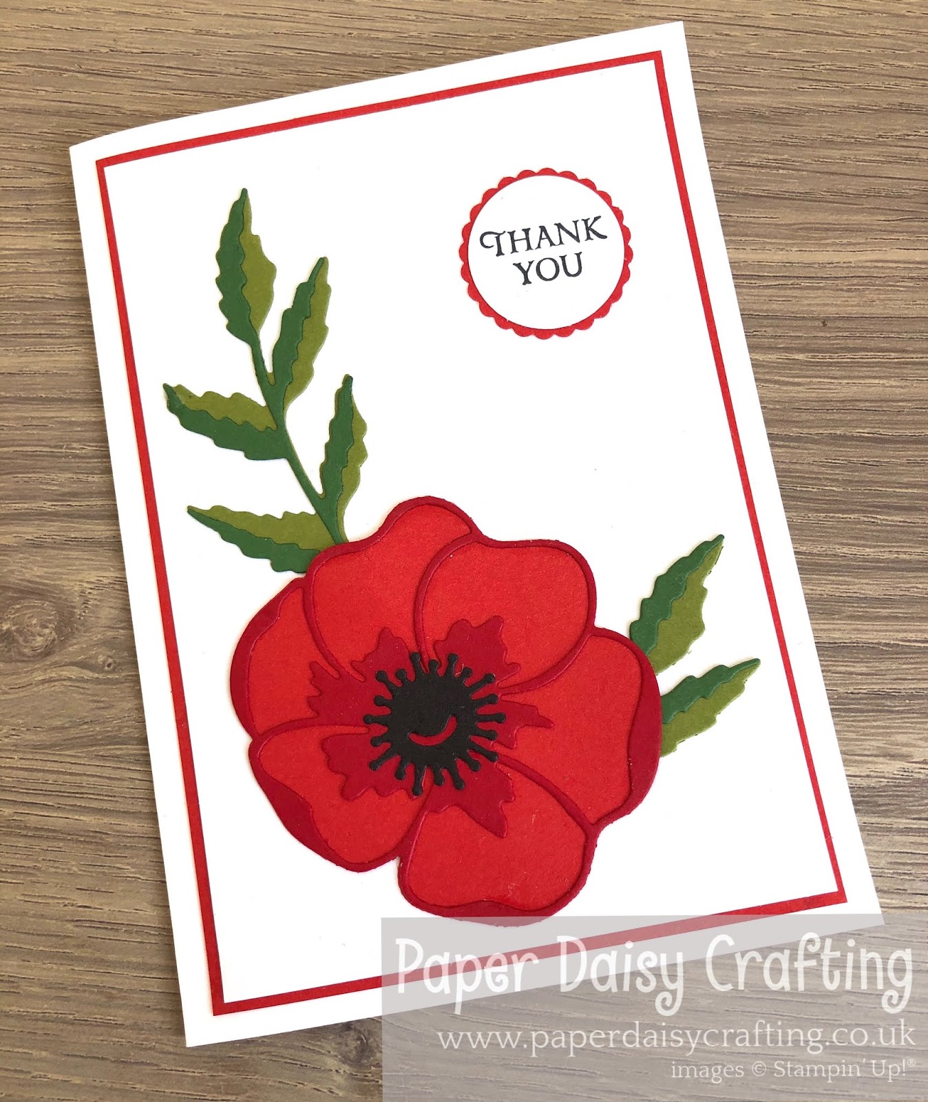 Paper Daisy Crafting: Clean and simple Peaceful Poppies card No 2
