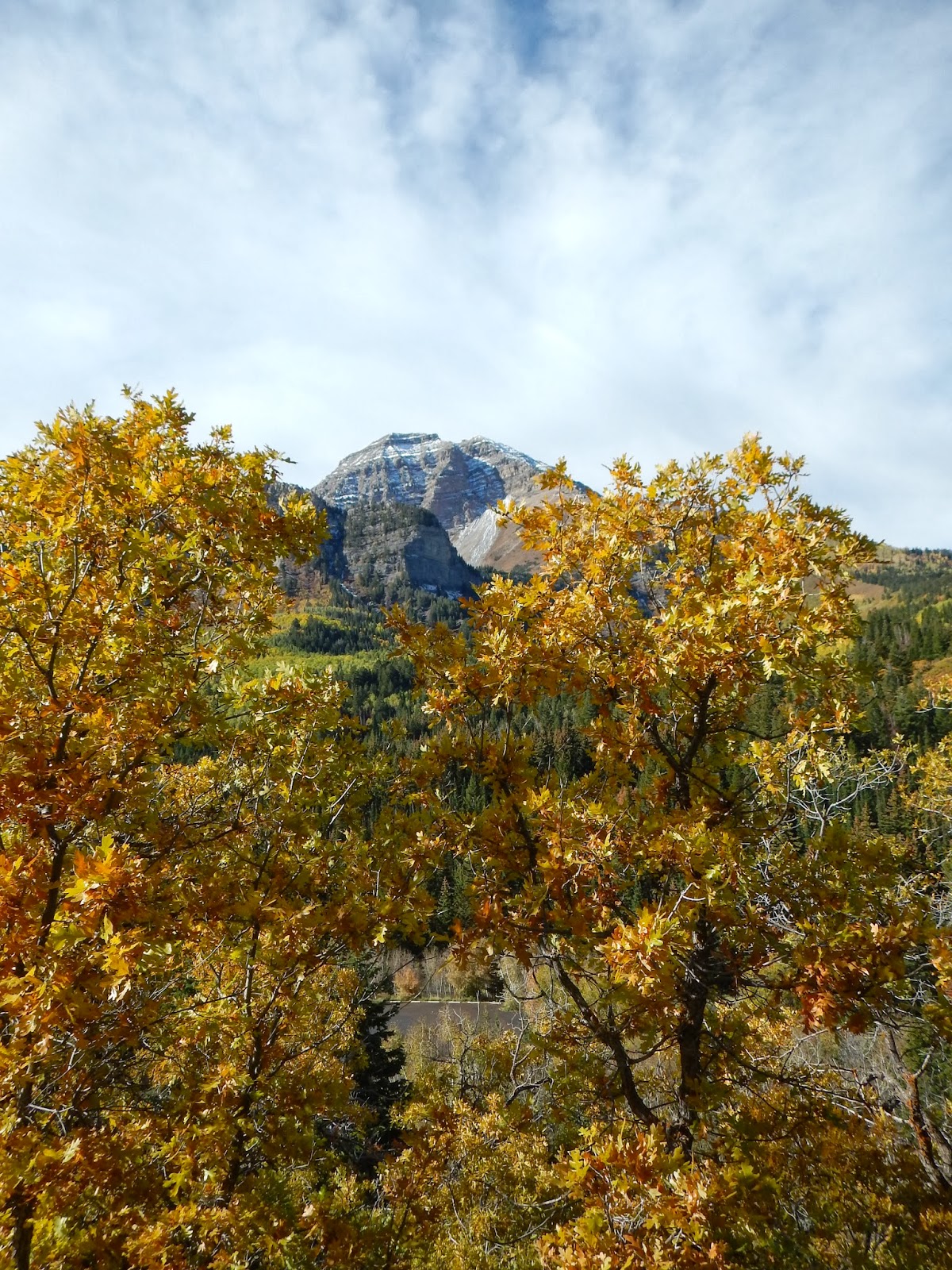 A Place to Share: Alpine Loop Fall 2013