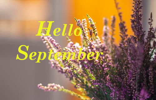 Top 10 Good Morning Hello September Images, Pictures, Photos, Greetings ...