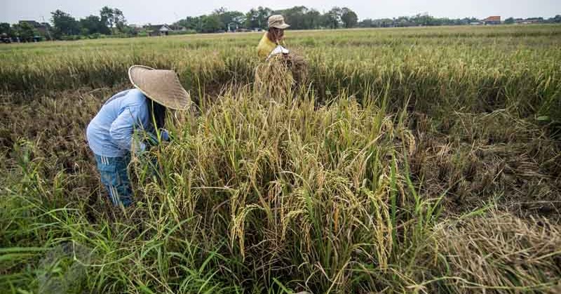 manyann's Blog: Contoh Penggunaan SIG (Sistem Informasi Geografis)