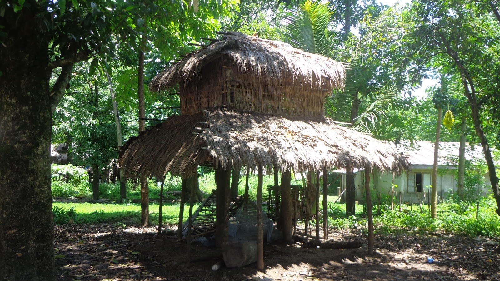 Meeting the Mangyans in Occidental Mindoro - The Wandering Juan