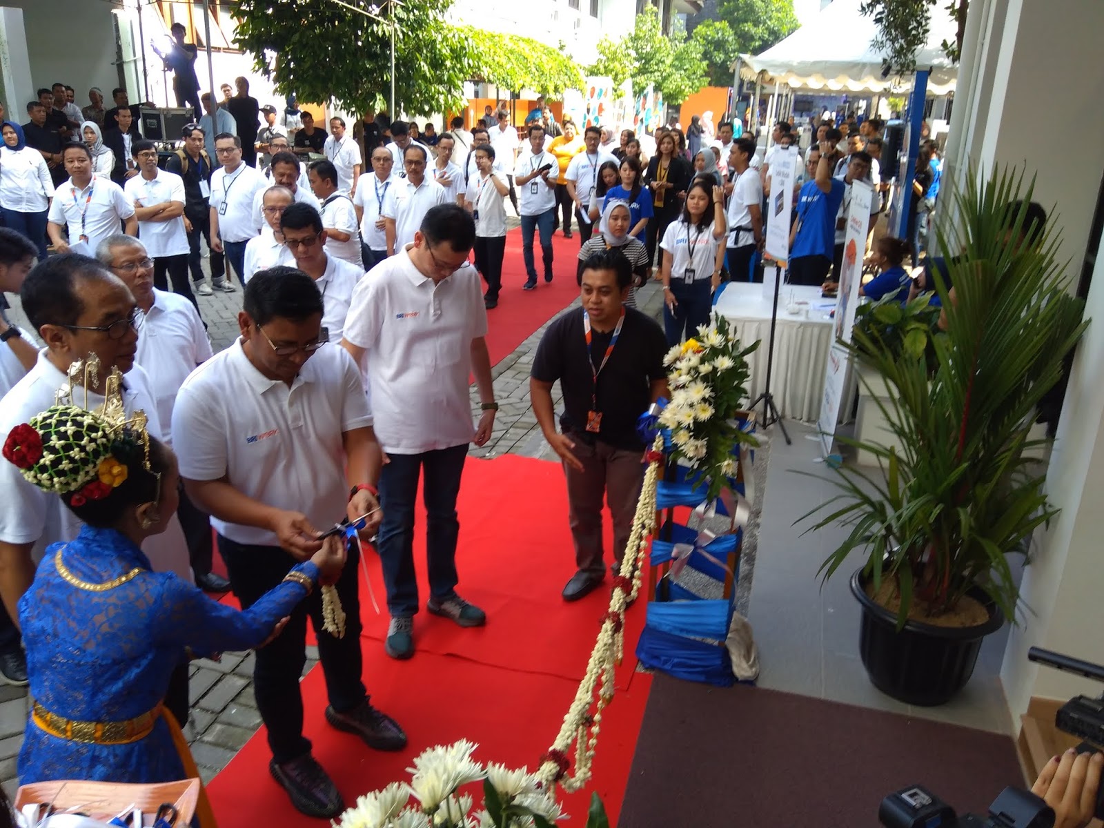 CARI BUNGA POTONG PITA JOGJA, CARI BUNGA POTONG PITA SEMARANG, HARGA ...