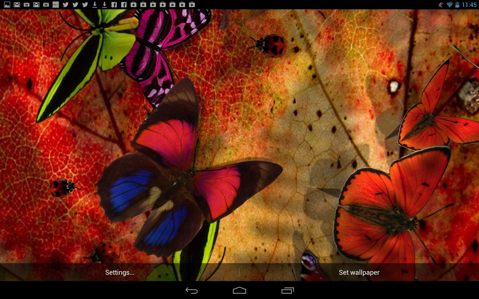 Friendly Bugs Live Wallpaper | Natural Ramblings