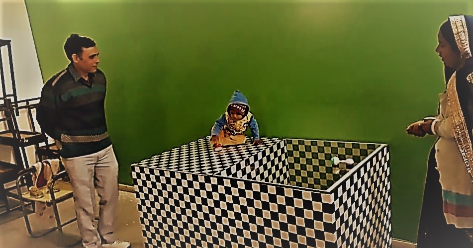 Psychology and Life: Depth Perception and Cues