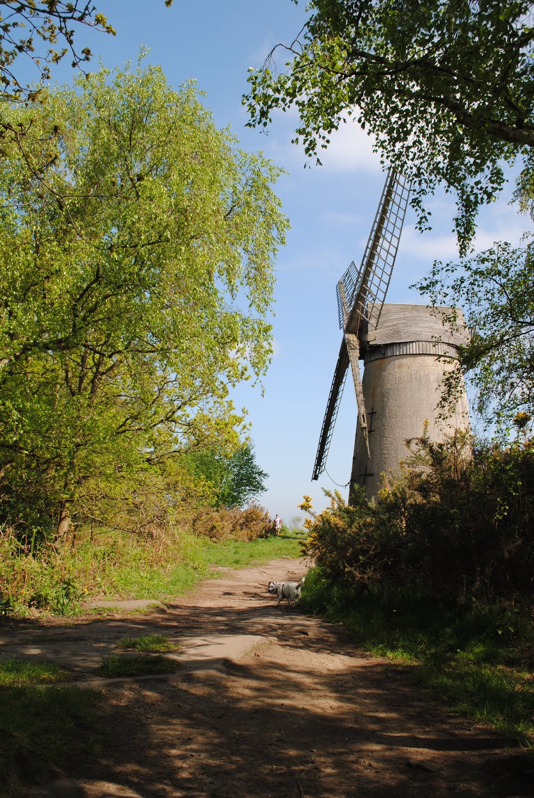 Richard Cosgrove-Bray - Photographer & Artist: Bidston Hill Windmill