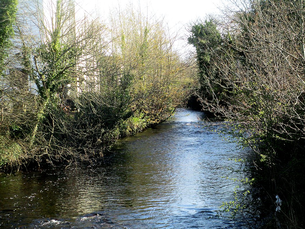 Somewhere in Ireland: river eske