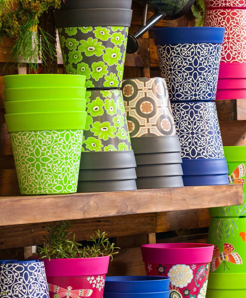 Evergreen Enterprises: Just Add Color to Your Garden with New Creative