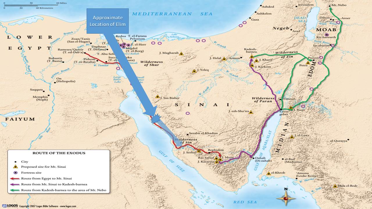 The View From My Chair: Canonical Reading Plan for Jan 23, Ex 16-18